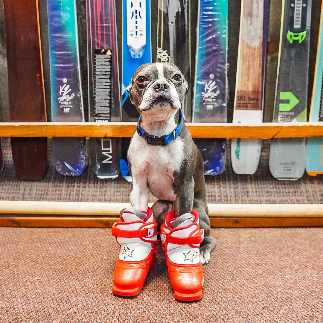 Galeria | Vista Bahn Ski Rentals